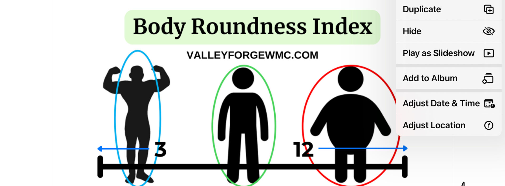 Body roundness index